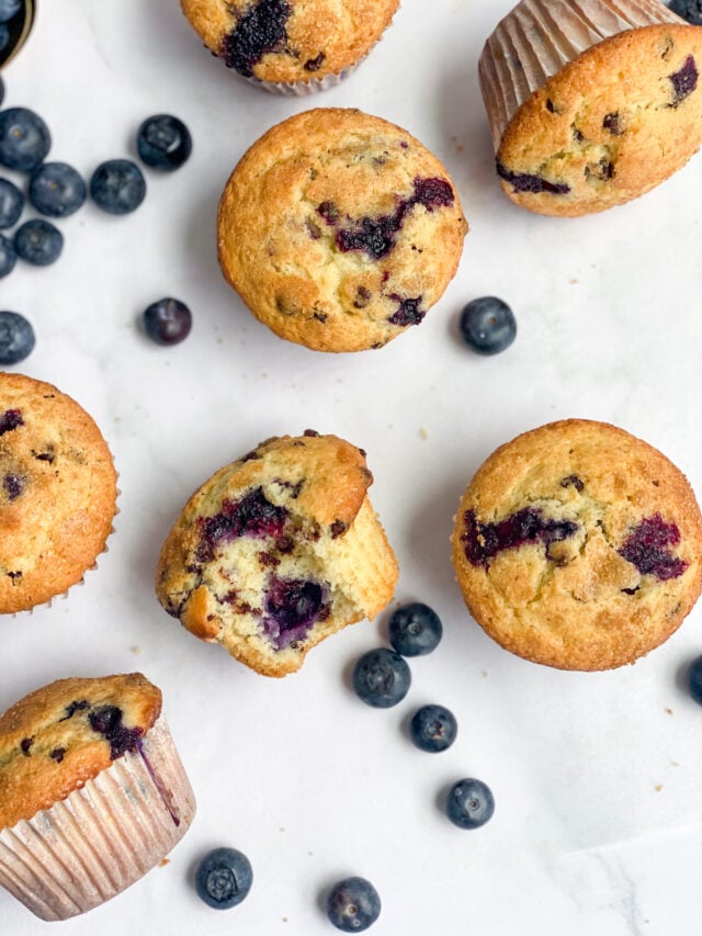 Blueberry Chocolate Chip Muffins - The Salted Sweets