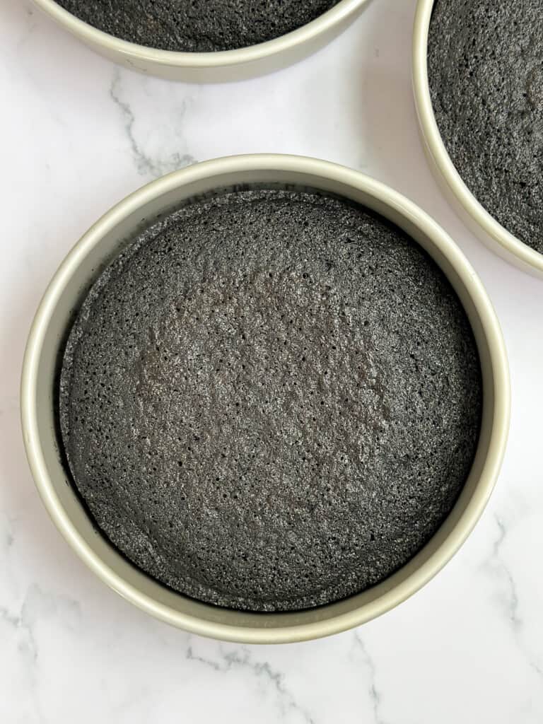 Black Chocolate Cake - The Salted Sweets