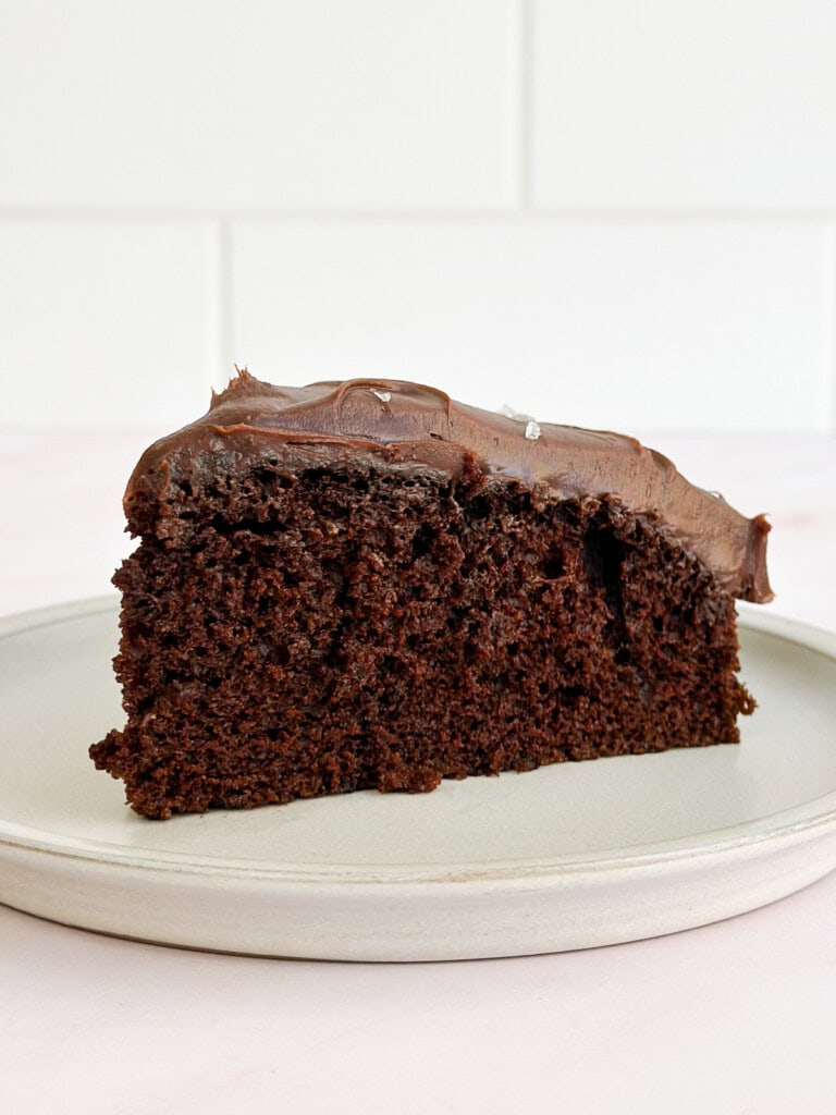 Single Layer Chocolate Cake - The Salted Sweets